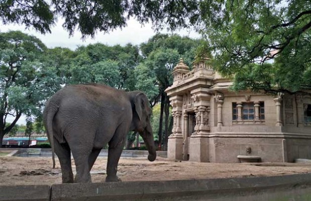 Legislatura: aprueban ley para transformar el Zoo en un Ecoparque - La ...